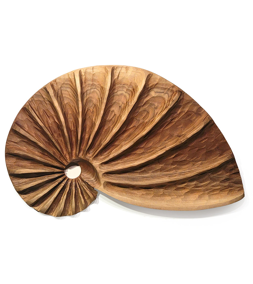 Wall Sculpture "Bleached Walnut Fibonacci Shell" by Andy DiPietro ...