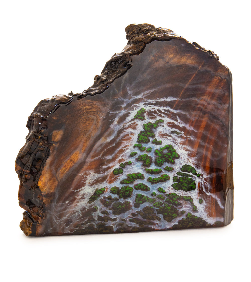 Original Painting on Koa "Rocks on the beach" by Philip Gagnon 10x12 ...