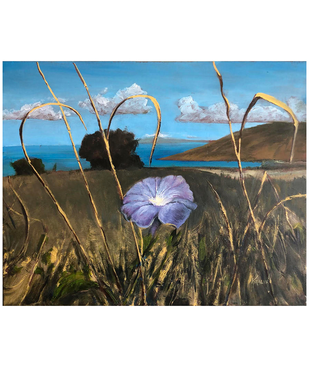 Kula Glory by Brandon Kralik – Martin & MacArthur