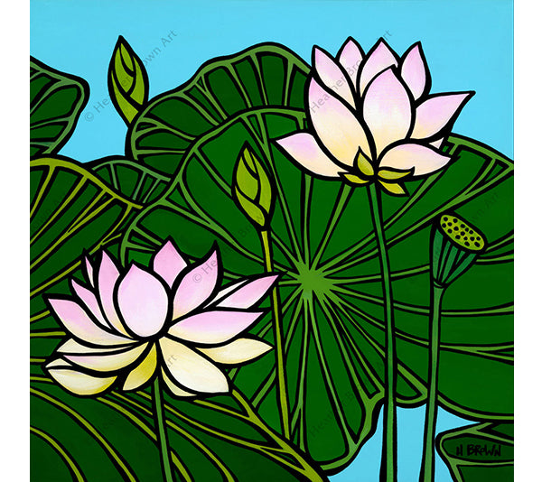 Lotus – Martin & MacArthur