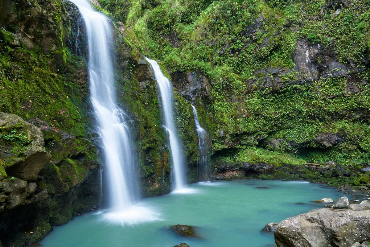 Three Bears by Andrew Shoemaker – Martin & MacArthur